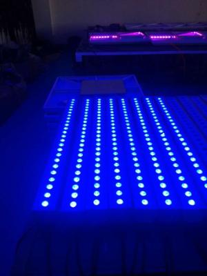Cina Professionale 24x3W 3 in 1 IP65 Wedding Disco LED Wall Washer Light per DJ Club Bar in vendita