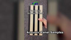 Wooden Slated Acoustic Panels Sample display
