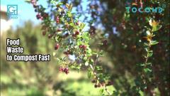 50KG Food Waste Composter 24H Compost