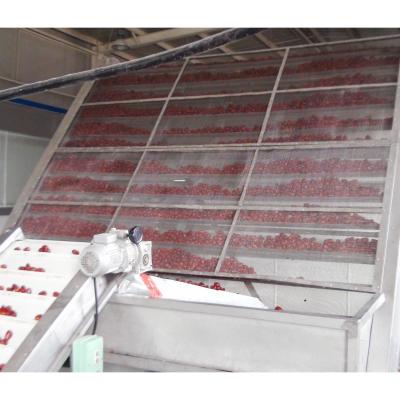 中国 410Vベルトの乾燥装置の自動フルーツ野菜のコンベヤーのより乾燥した機械 販売のため