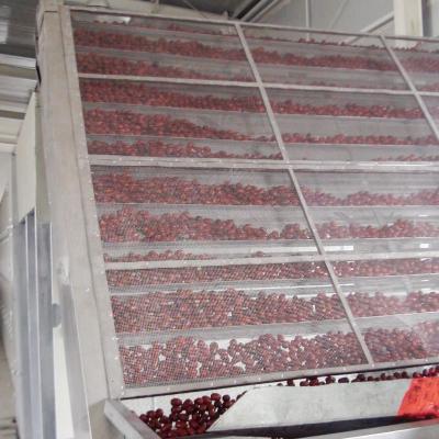 Cina Strato a un solo strato 10 degli essiccatori continui della cinghia di fonte di calore di energia dell'aria multi a 40KW in vendita