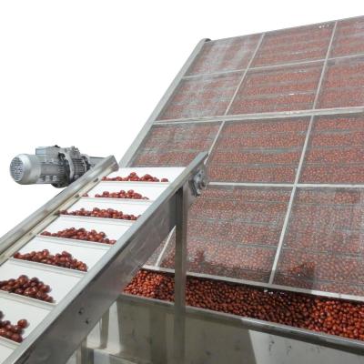 Китай Сбережения космоса ODM машины равномерного пояса Jujube обезвоживания горячего воздуха более сухие продается
