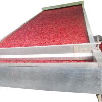 China Precise Temperature Control Pulse Air Supply Chili Dryer Machine Intelligent Operation for sale