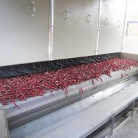 China Precise Temperature Control Pulse Air Supply Chili Dryer Machine Intelligent Operation for sale