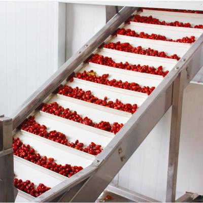 Cina Riscaldamento di circolazione dell'aria calda delle date della cinghia dell'impianto di essiccazione di controllo a più strati dello SpA in vendita