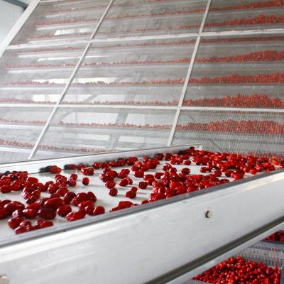 Cina Riscaldamento di circolazione dell'aria calda delle date della cinghia dell'impianto di essiccazione di controllo a più strati dello SpA in vendita