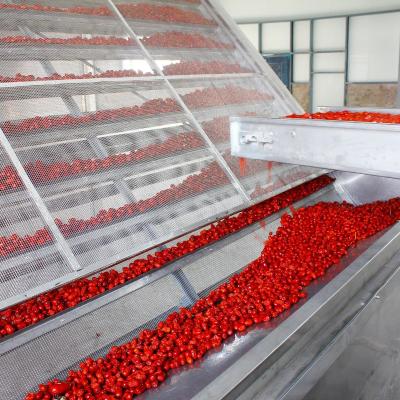 Cina Riscaldamento di circolazione dell'aria calda delle date della cinghia dell'impianto di essiccazione di controllo a più strati dello SpA in vendita