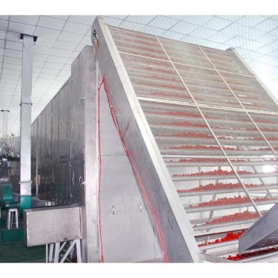 Cina Controllo dello SpA dello SGS Mesh Belt Dryer Machine di iso per le date rosse dei grumi irregolari in vendita