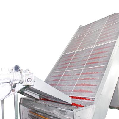 Cina Controllo dello SpA dello SGS Mesh Belt Dryer Machine di iso per le date rosse dei grumi irregolari in vendita