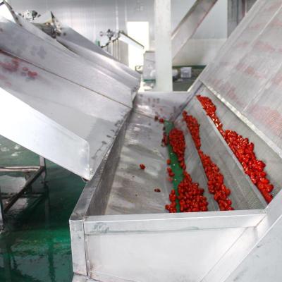 Cina Controllo dello SpA dello SGS Mesh Belt Dryer Machine di iso per le date rosse dei grumi irregolari in vendita