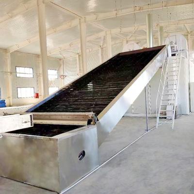 Cina L'iso della macchina di Camellia Seed Tea Leaf Dryer fruttifica asciugando la linea di trasformazione in vendita
