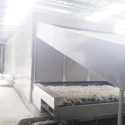 Cina L'alimentazione industriale inossidabile dell'essiccatore della cinghia ha sentito l'asciugatrice del tè 4 a 8layer in vendita