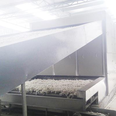 Cina L'alimentazione industriale inossidabile dell'essiccatore della cinghia ha sentito l'asciugatrice del tè 4 a 8layer in vendita