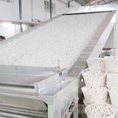Cina L'alimentazione industriale inossidabile dell'essiccatore della cinghia ha sentito l'asciugatrice del tè 4 a 8layer in vendita