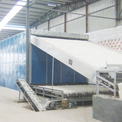 Cina Larga scala a più strati dell'essiccatore continuo della cinghia del grano del fungo del fungo in vendita