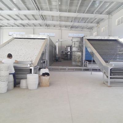 Cina Patata multiuso che asciuga la linea di produzione Konjac dell'asciugatrice inizio di Eco Smart in vendita