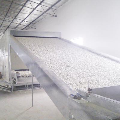 Cina Patata multiuso che asciuga la linea di produzione Konjac dell'asciugatrice inizio di Eco Smart in vendita