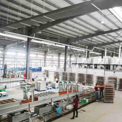 Cina Carrelli antiruggine della macchina più asciutta industriale della pompa di calore dello SGS 8 10 12 in vendita