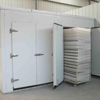 Cina Pompa di calore automatica Tray Dryer Machine di Chips Dryer Machine 26Kw della patata dello SpA in vendita