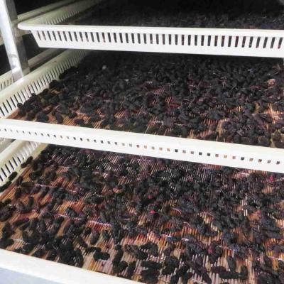 Cina Essiccatore Poria Herb Angelica Hot Air Drying Chamber del Governo dell'alimento di Hensghou in vendita