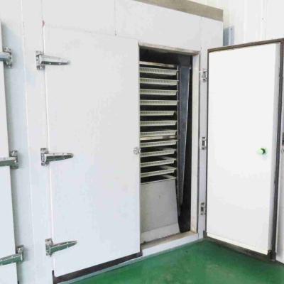 Cina Essiccatore Poria Herb Angelica Hot Air Drying Chamber del Governo dell'alimento di Hensghou in vendita