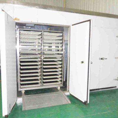 Cina Essiccatore Poria Herb Angelica Hot Air Drying Chamber del Governo dell'alimento di Hensghou in vendita