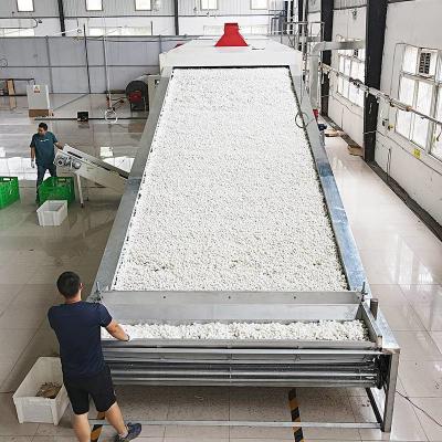 中国 乾燥するカイコの繭ベルトの乾燥機械養蚕装置機械類を処理する 販売のため