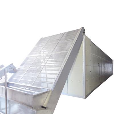 Cina Impianti di essiccazione della cinghia della giuggiola materiale di 150mm - di 50 in vendita