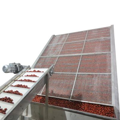 Cina Impianti di essiccazione della cinghia della giuggiola materiale di 150mm - di 50 in vendita