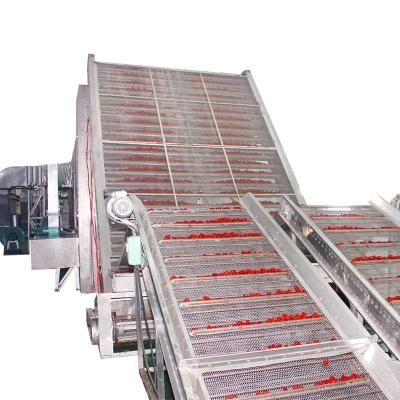 Cina Macchina più asciutta dei peperoncini rossi rossi dell'OEM inossidabile in vendita