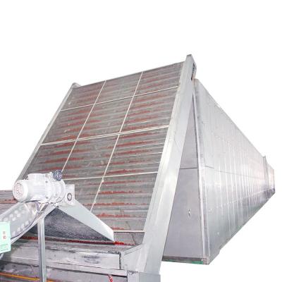 Cina Macchina più asciutta dei peperoncini rossi rossi dell'OEM inossidabile in vendita