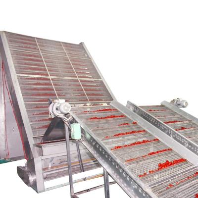 Cina Macchina più asciutta dei peperoncini rossi rossi dell'OEM inossidabile in vendita