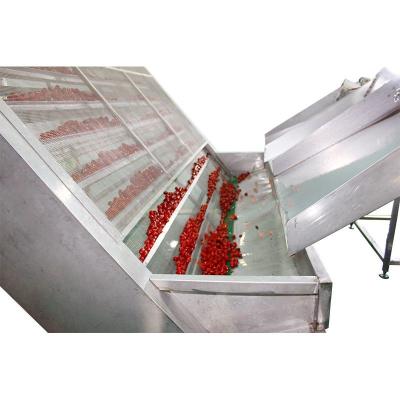 China 0,2 aan 0.5mPa-Stoomlucht die het Rode Fruit van Datamesh belt dryer machine for recycleren Te koop