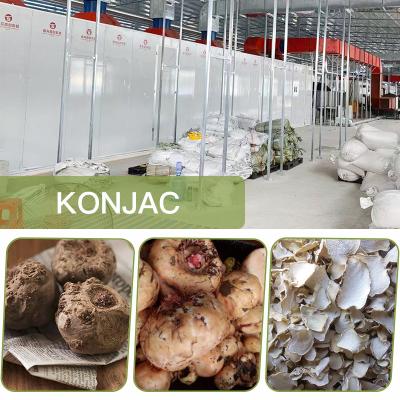 China Lucht het Verwarmen Ononderbroken Transportbanddrogers voor Kruidenfruit en Groente Te koop