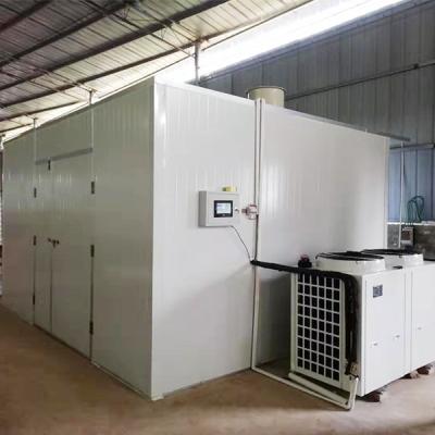 Cina SGS di iso più asciutto dei vassoi di disidratazione 60 della banana del limone dell'alimento commerciale della pompa di calore 600KG in vendita