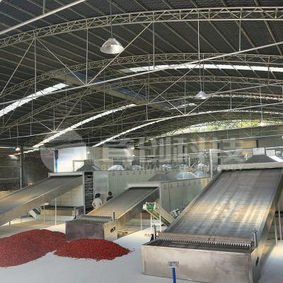 Cina Shouchuang Belt Type Spice Star Anise Drying Equipment Circolazione dell'aria calda in vendita