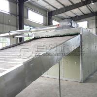 China Nuts Beans Processing Automatic Continuous Belt Dryer Peanut Pistachio Coffee Beans Drying for sale