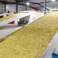China Dried Konjac Cassava Chips Processing PLC Control Belt Dryer Vegetable Herb Drying Machine for sale