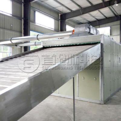China Gaswarmtepomp Ster Anise Mesh Belt Dryer Kaneel Oranje Schil Drogen Te koop