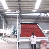 China Hot Pepper Drying Processing Line Automatic Chili Dryer Machine For Vegetable Fruit for sale