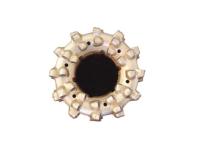 China PDC Drill Bit for IADC Code PC2449 / M431 with Fastness Nozzles for sale