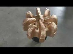 Waterput/Gasoliebron die PDC-Beetjes boren het Lichaam van de 3 - 6 Bladenmatrijs/Staallichaam
