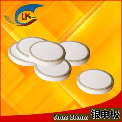 Cina 16*2,5 mm termistor PTC per il relè del frigorifero 4R7 chip di avvio Ohm in vendita