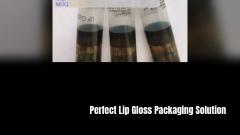 Premium Lip Gloss Tube Packaging With Precision Applicator