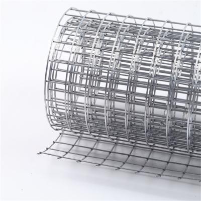 China Customizable 4ftx50ft Galvanized Welded Wire Mesh Chicken Bird Cage Wire Mesh for sale