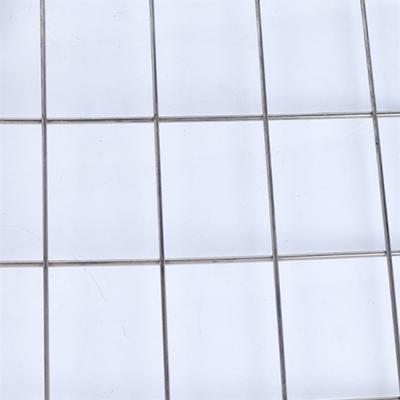 China Customizable 4ftx50ft Galvanized Welded Wire Mesh Chicken Bird Cage Wire Mesh for sale