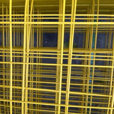 China Hot Sale Green PVC Welded Wire Mesh Panel 1×2m 50×50mm for Garden Fencing for sale
