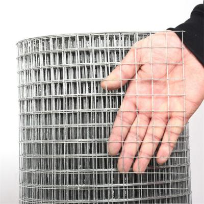 China Anping Manufacturer's HDG Welded Wire Mesh Roll Square Wire Mesh for Chicken Rabbit Cage Bending Fence for sale