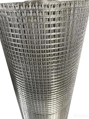 China 1.2m*30m Galvanized Welded Wire Mesh Roll Low Carbon Steel Wire Mesh For Garden Vegetable Fence for sale