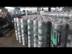 3ft 4ft 5ft 8ft Farm Wire Mesh Fence Cattle Fencing Rolls Resistência ao desgaste